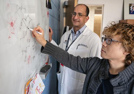 Creating The World S First Crispr Medicine For Sickle Cell Disease